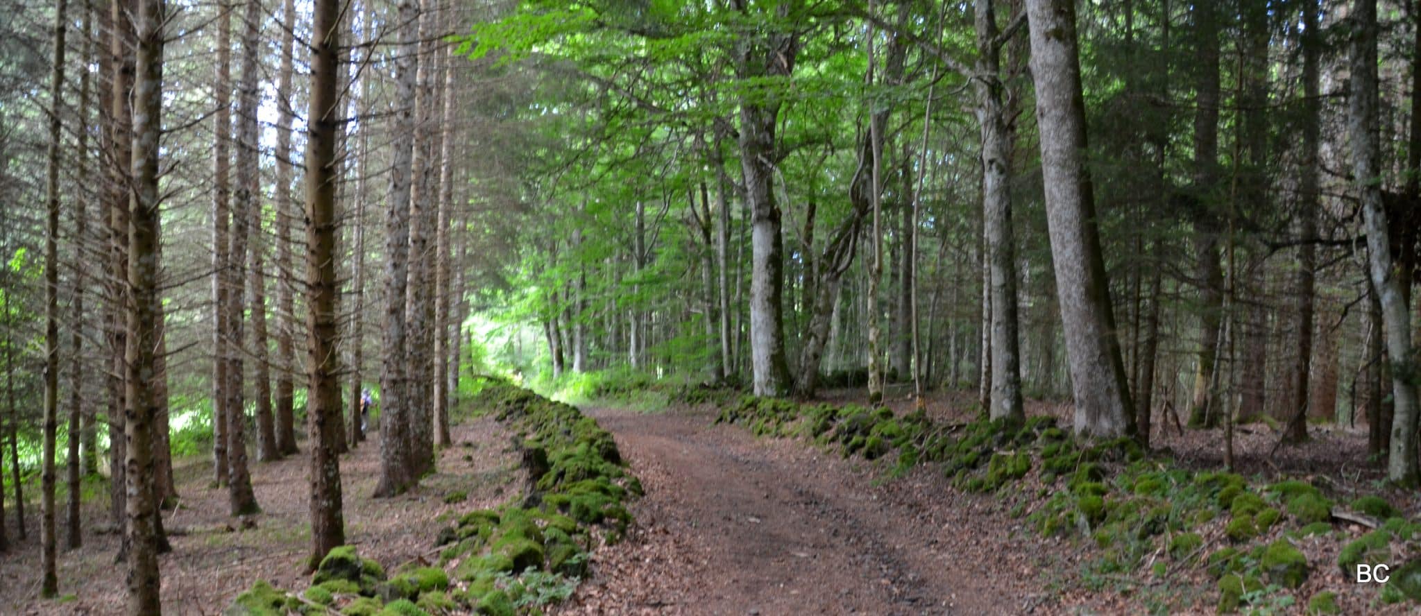 Chaîne des Puys - Balirando