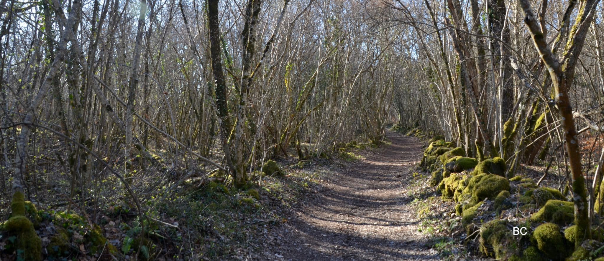 Le sentier du Dr Moity - Balirando